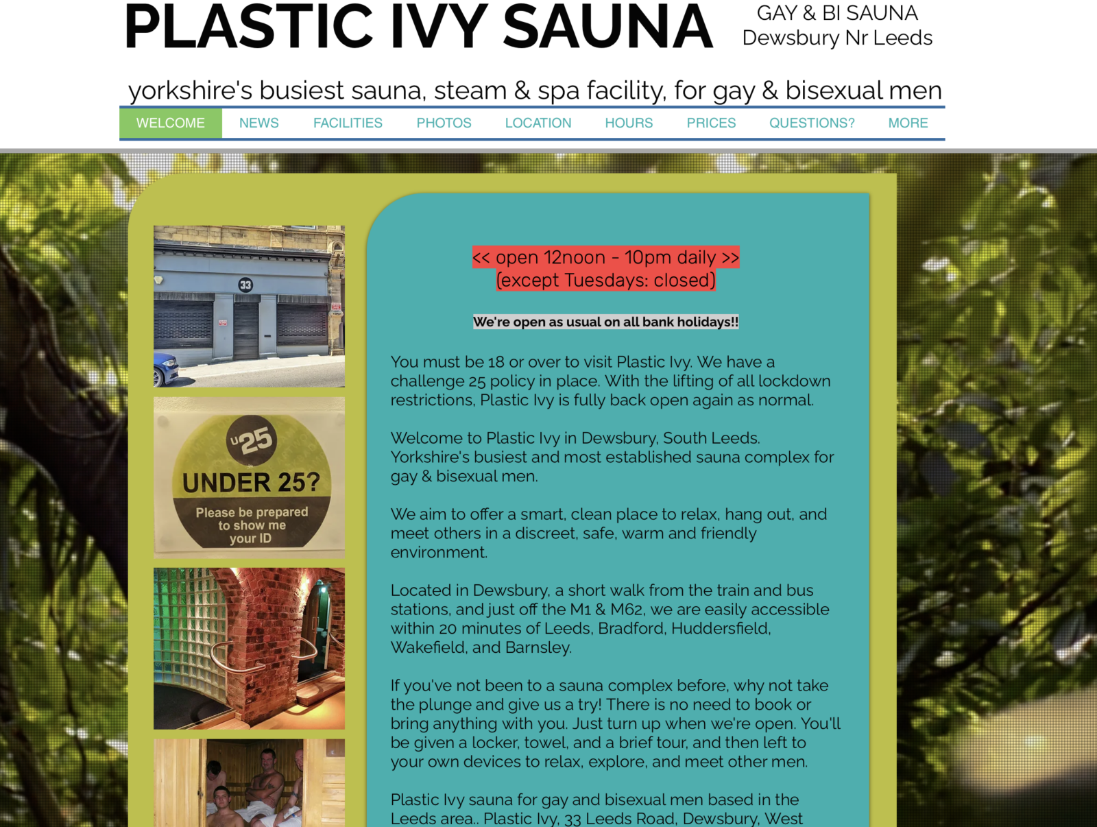 Plastic Ivy Sauna Dewsbury - MANHUB.UK